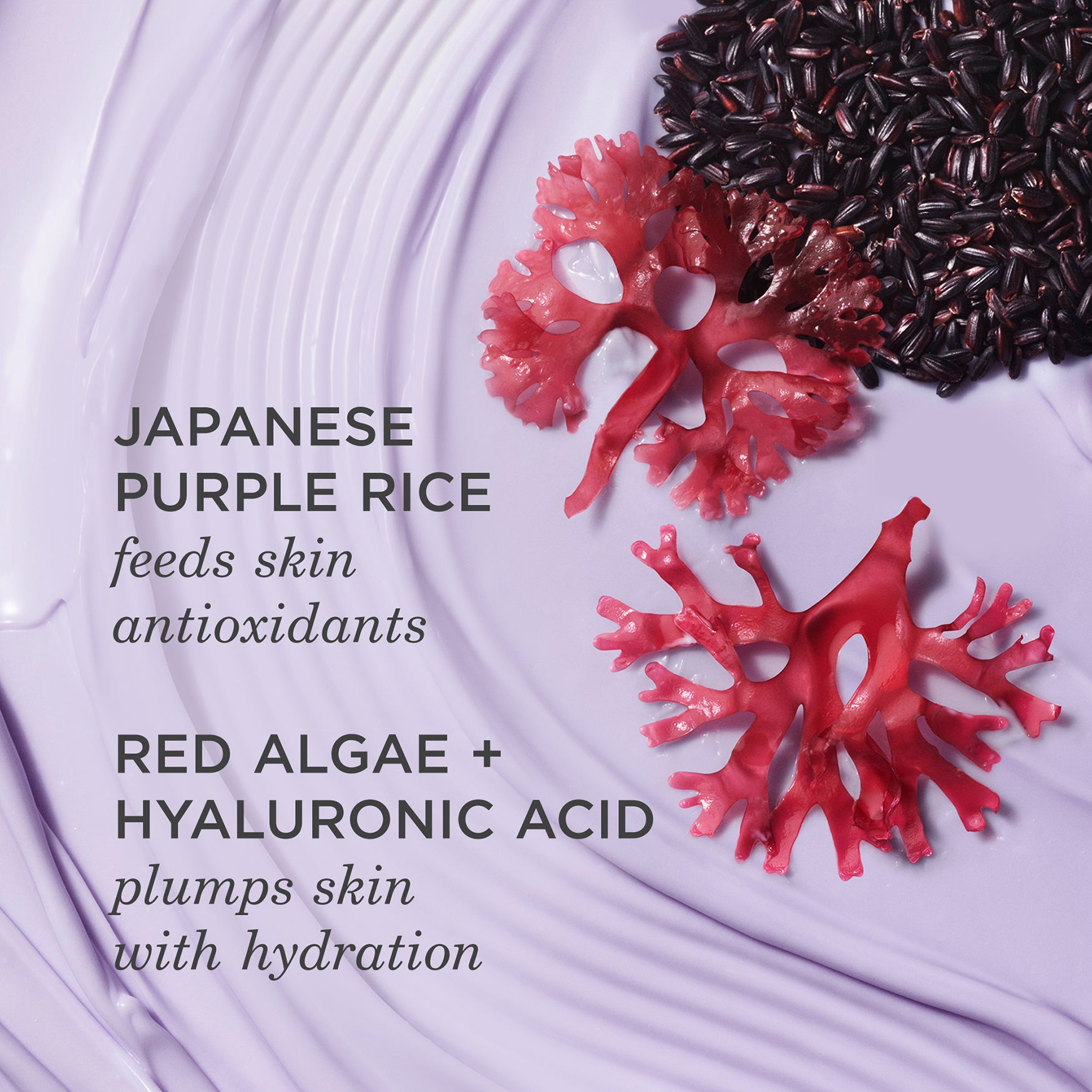 Tatcha UK | The Dewy Skin Cream