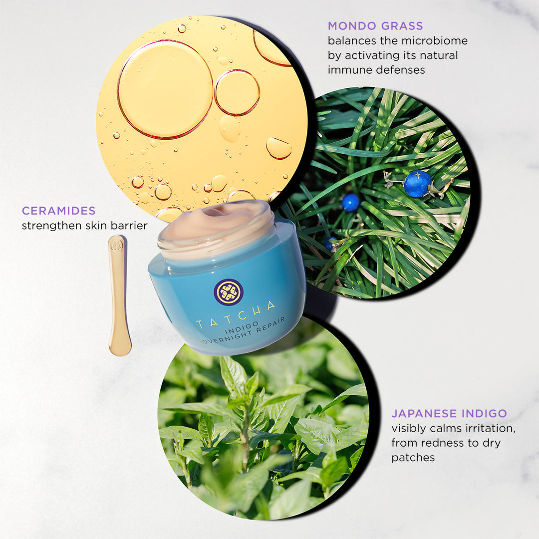 Japanese Beauty & Skincare Products | Tatcha